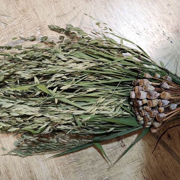 Hand Crafted | Accents | Real Fragile Dried Oat Grass And Poppy Pods ...